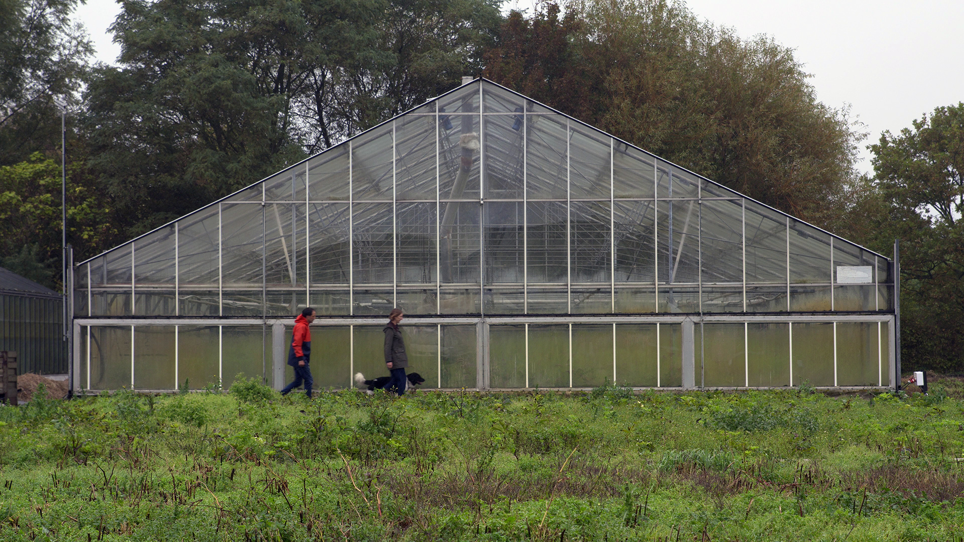 Questions & Answers / Alice Twemlow - Design Exhibition Scotland