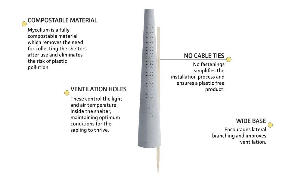 Shroom with a view - Design Exhibition Scotland